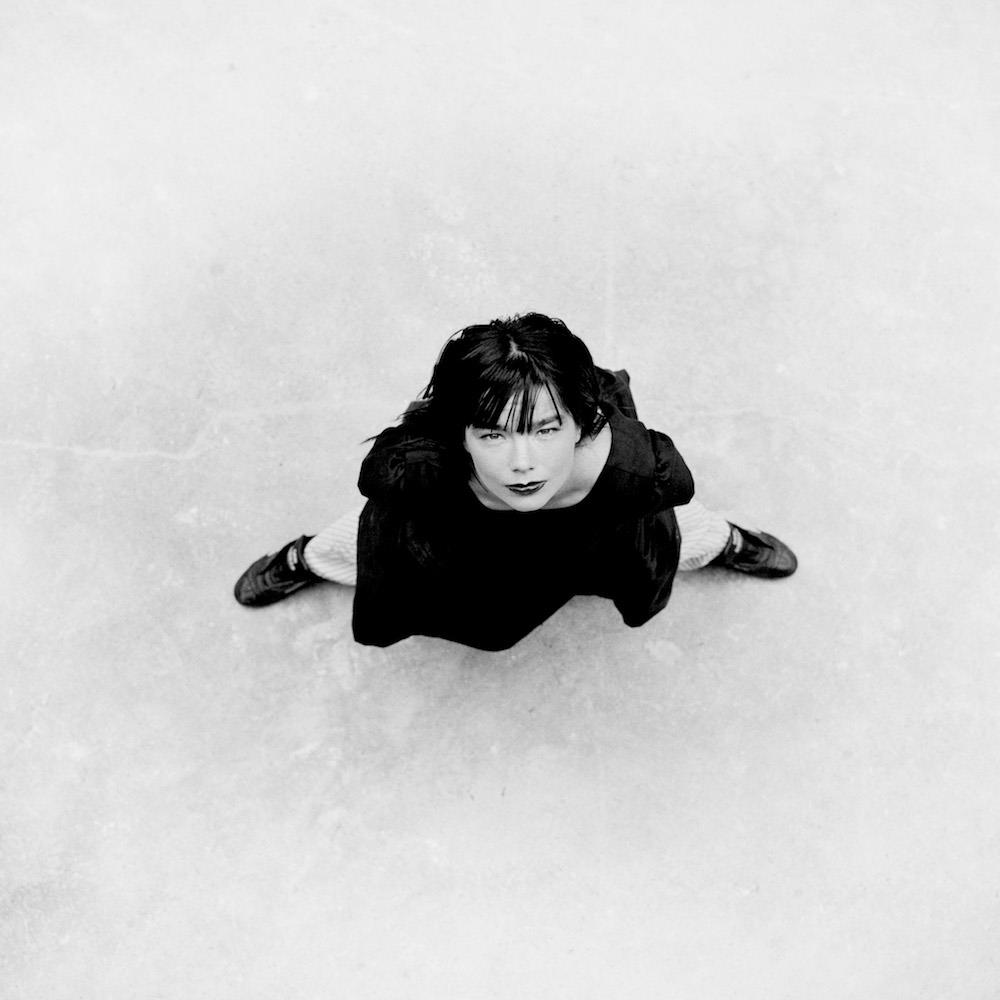 Bjork Homogenic Photoshoot